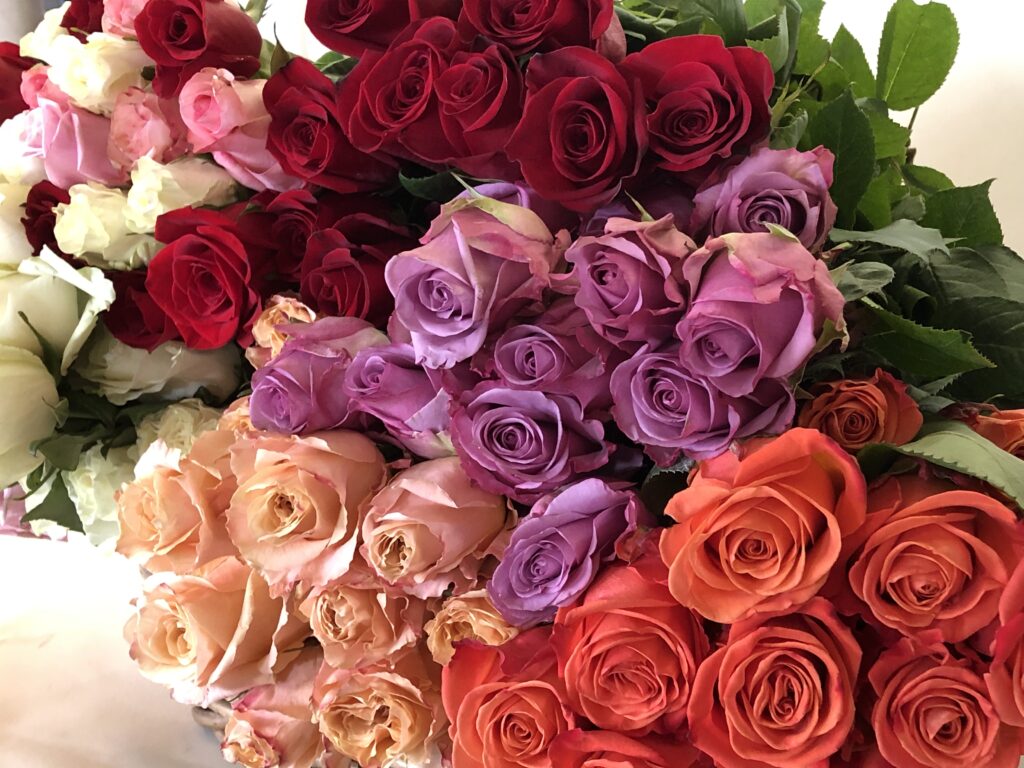 Roses, assorted colors - Maui Floral Special Orders