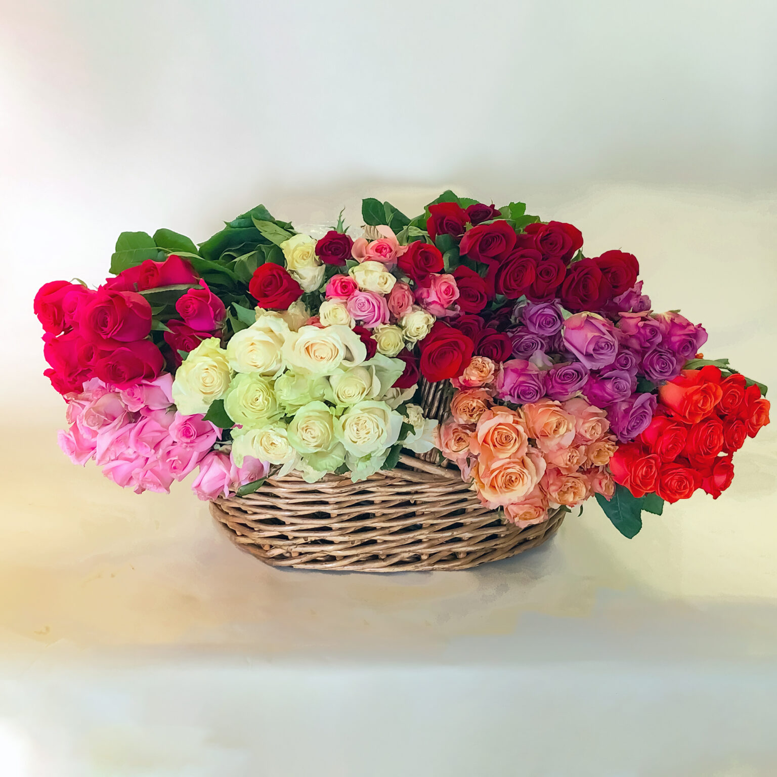 Roses, assorted colors - Maui Floral Special Orders